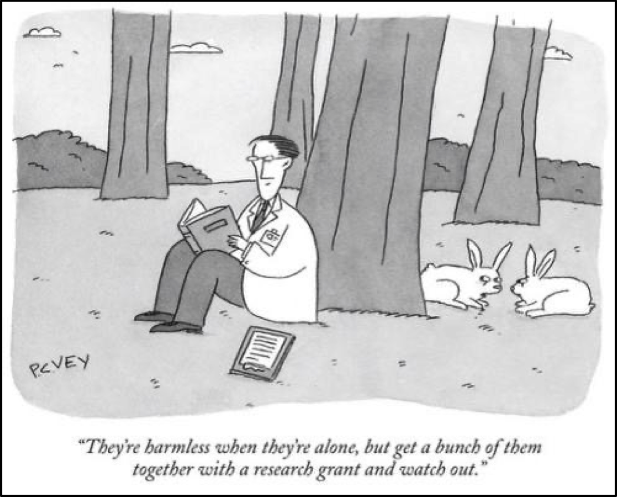 Wondering if you should apply for a DECRA? – Global Ecology @ Flinders